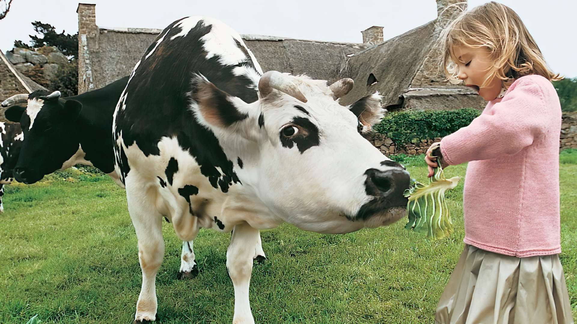 Our Work | Phoenix ADV